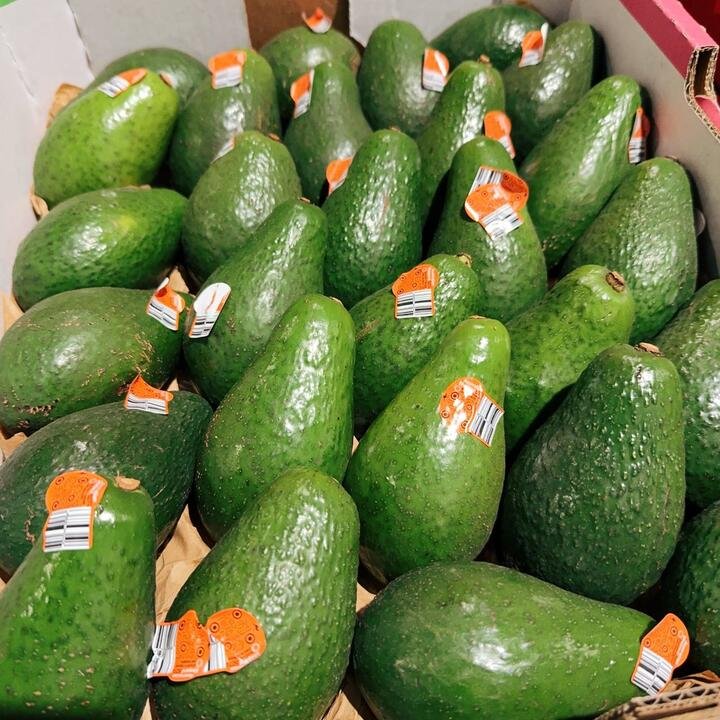 Australian Local Avocado - 1 Piece - Gourmet Grocer