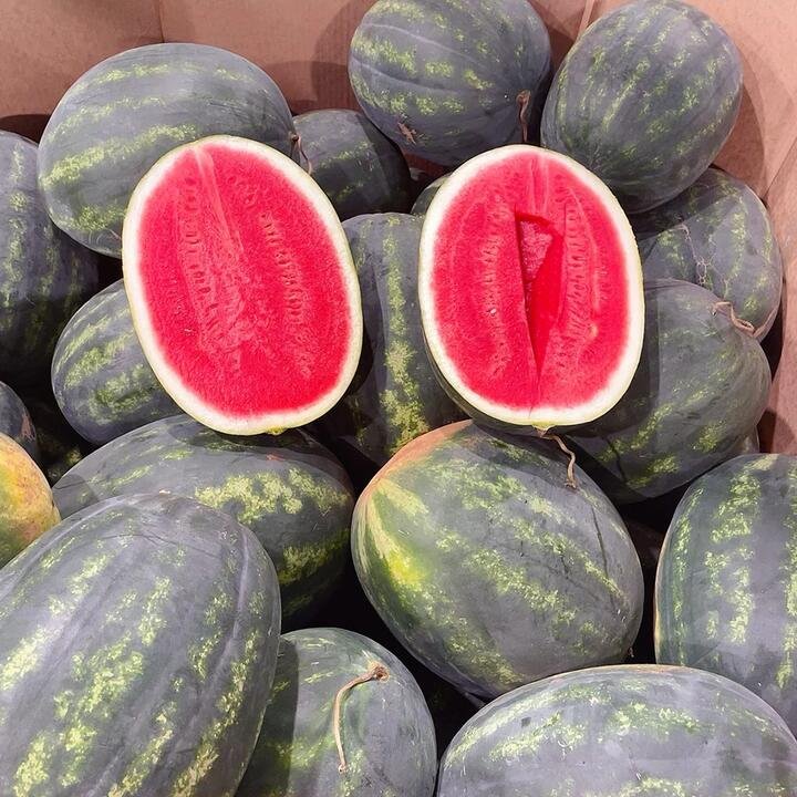 Extra Large Super Sweet Watermelon - 1 Piece, 10kg+ - Gourmet Grocer
