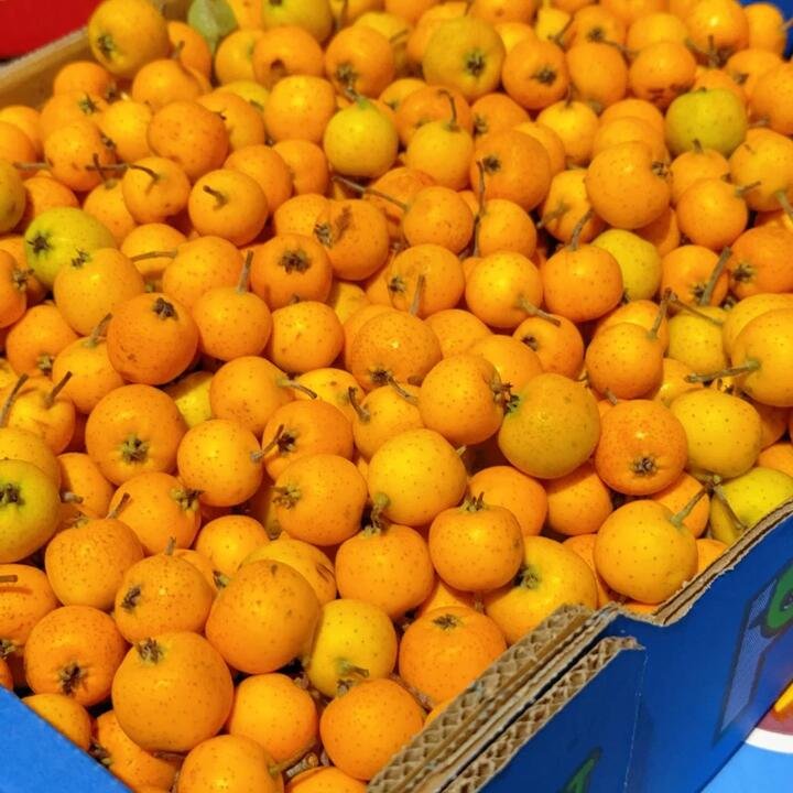 Rare Yellow Sand Pears - 300g - Gourmet Grocer